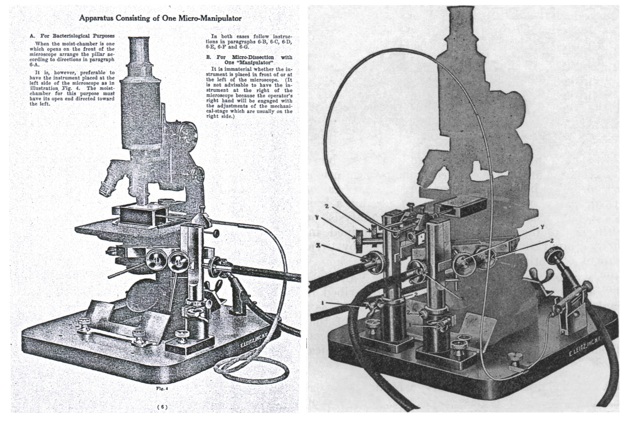 Touching the Living Cell: The Chambers’ Micromanipulator – University ...